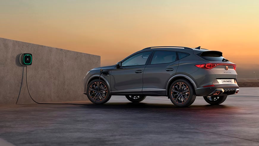 Home Page [seatsantafe.com.mx]